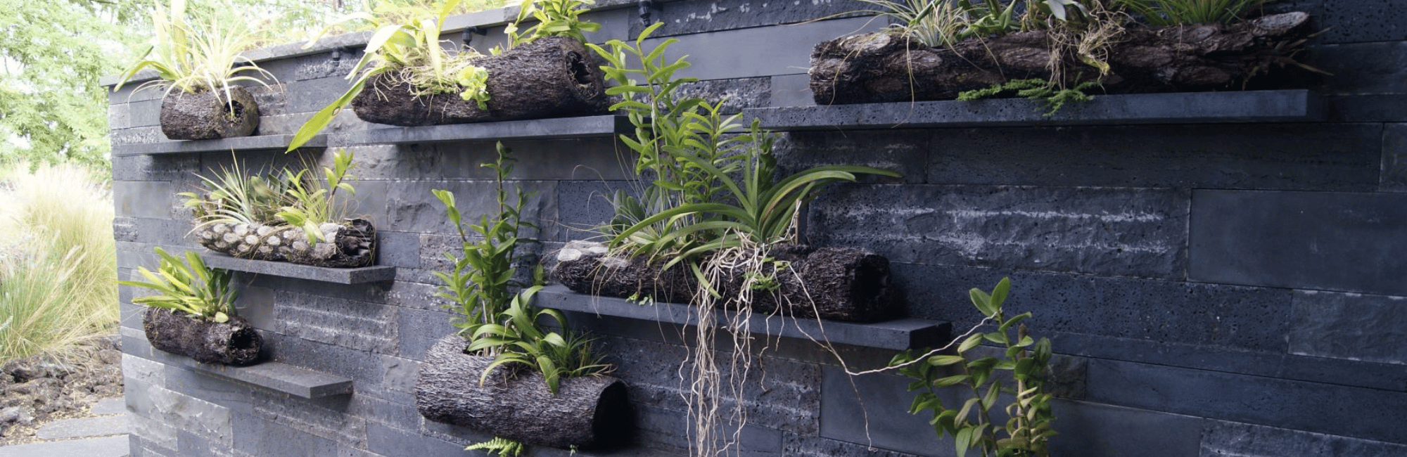 Basalt by Hawaii Stone Collection