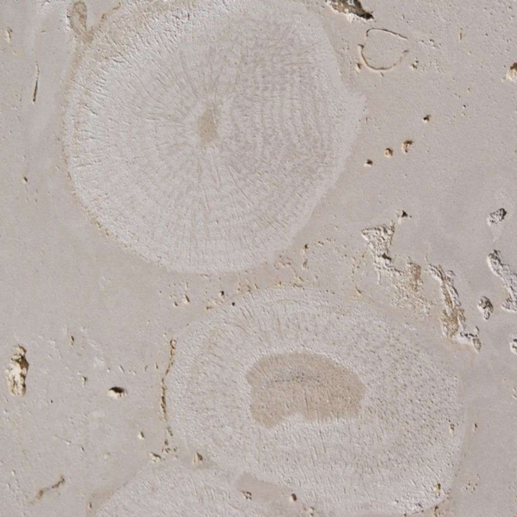 CORAL GEM Saw Cut Slab - Hawaii Stone