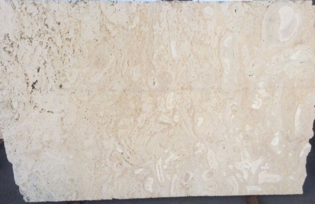 CORAL GEM Coral Saw Cut Slab - Hawaii Stone