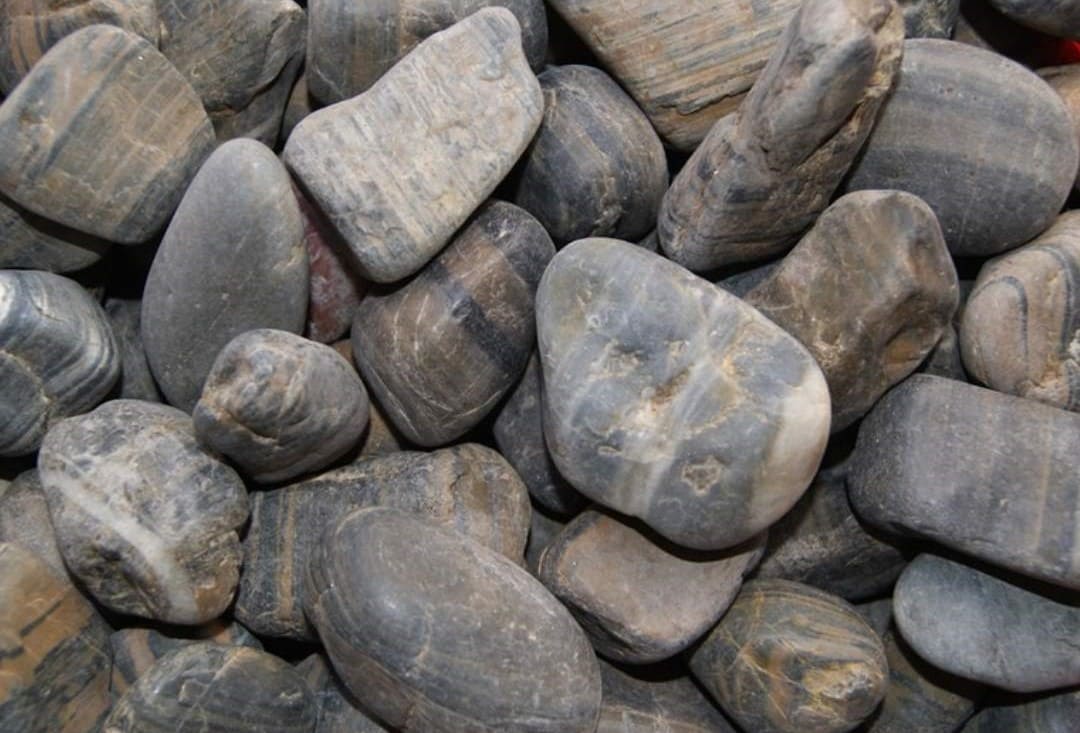 TIGER WOOD Natural Tumbled Garden Pebbles - Hawaii Stone