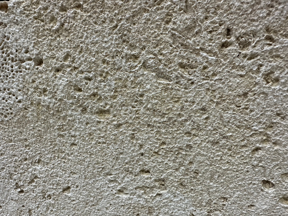 Coral by Hawaii Stone Collection