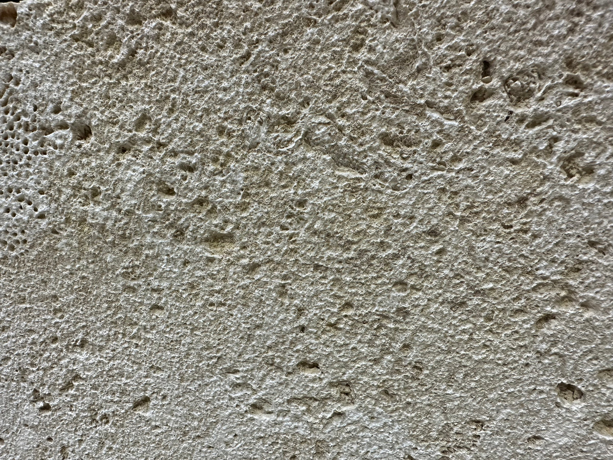 Coral by Hawaii Stone Collection
