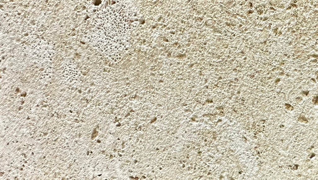 CORAL CLASSIC Bush-Hammered Wall Veneer - Hawaii Stone