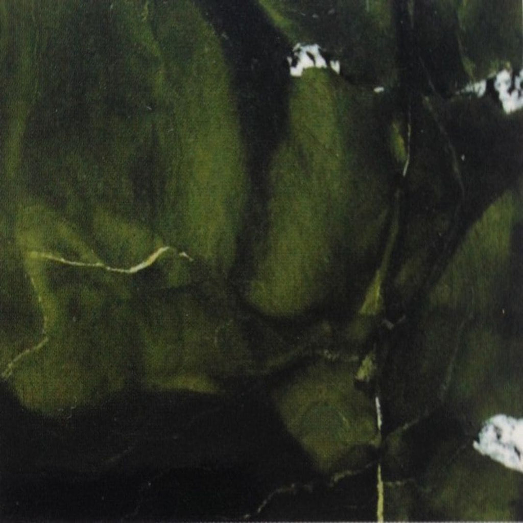 AVOCATUS Quartzite Polished Slab - Hawaii Stone