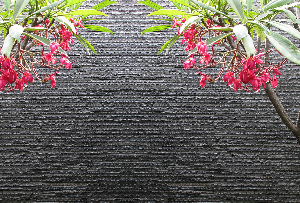 GREY ANDESITE, UNIFORM - Hawaii Stone