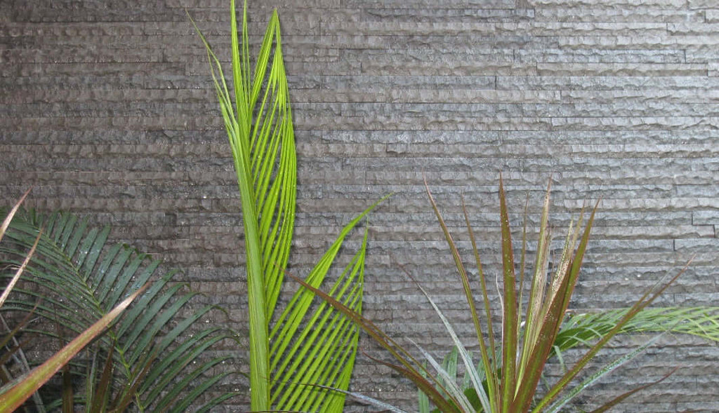 GREY ANDESITE, UNIFORM - Hawaii Stone