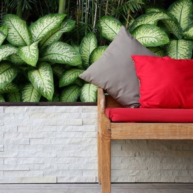 SANDSTONE MINT, STRIP - Hawaii Stone