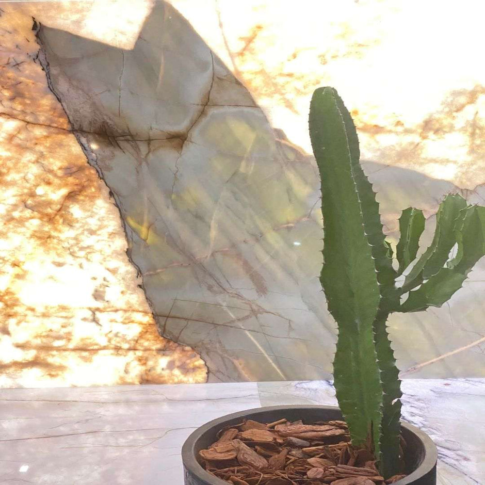 PATAGONIA Granite Polished Slab - Hawaii Stone